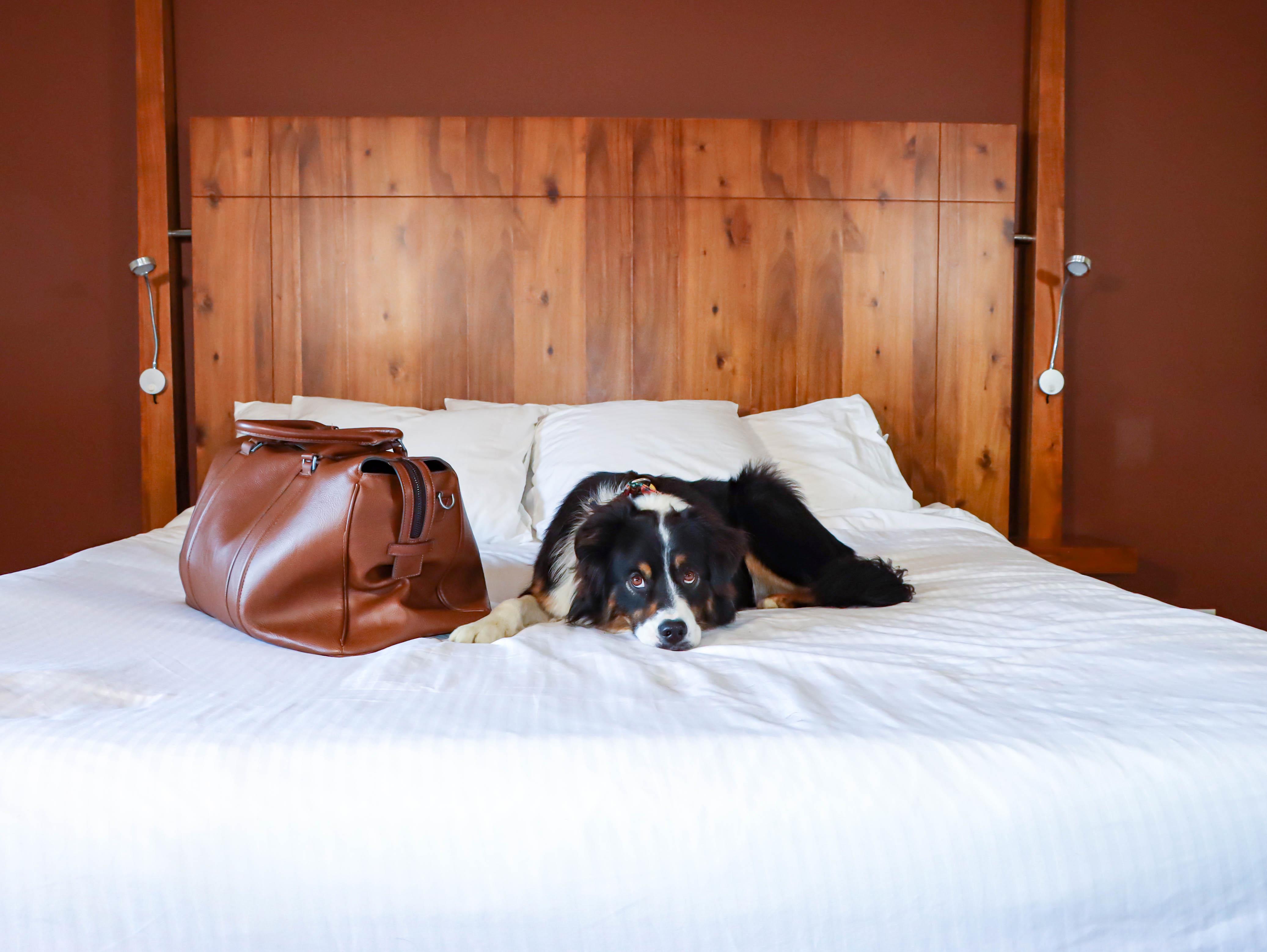 Visit Us | Copper Point Resort | Hotel in Invermere, BC