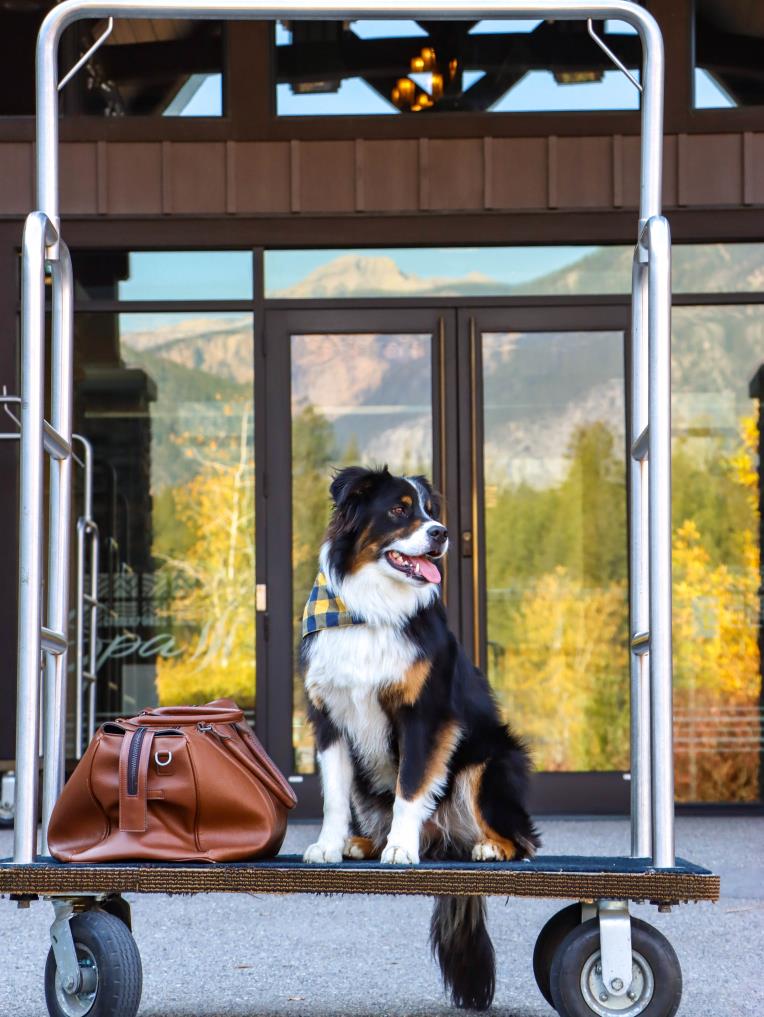 Visit Us | Copper Point Resort | Hotel in Invermere, BC